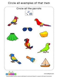 Circle The Objects | Worksheets By - AutiSpark